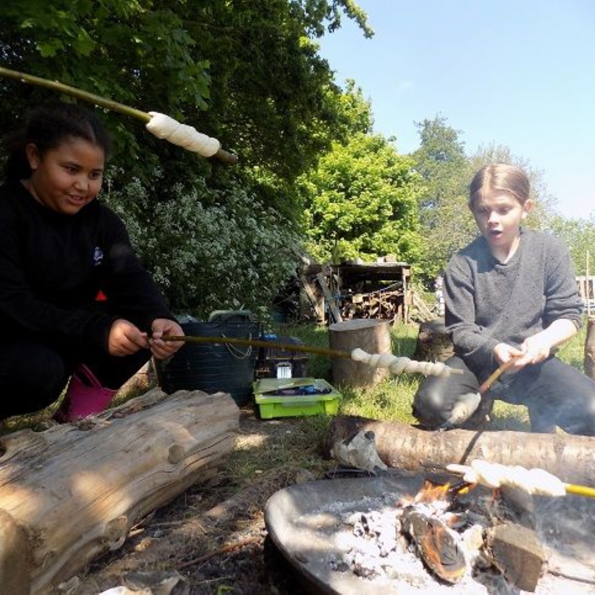 Westlands Primary School - Forest School Update